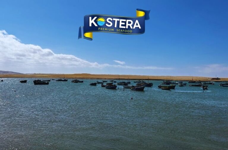 The Treasure of the Peruvian Sea and KOSTERA’s Role in Bivalve Mollusks | KOSTERA